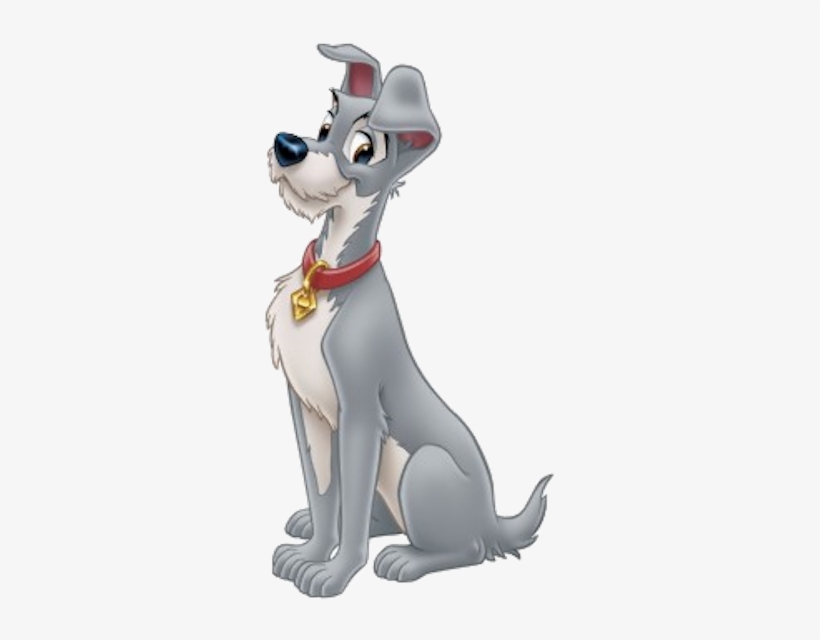 Trampdisney - Tramp From Lady And The Tramp Transparent PNG - 439x600 ...