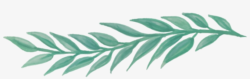 Picture - Watercolor Leaf Design Png Transparent PNG - 2000x500 - Free ...