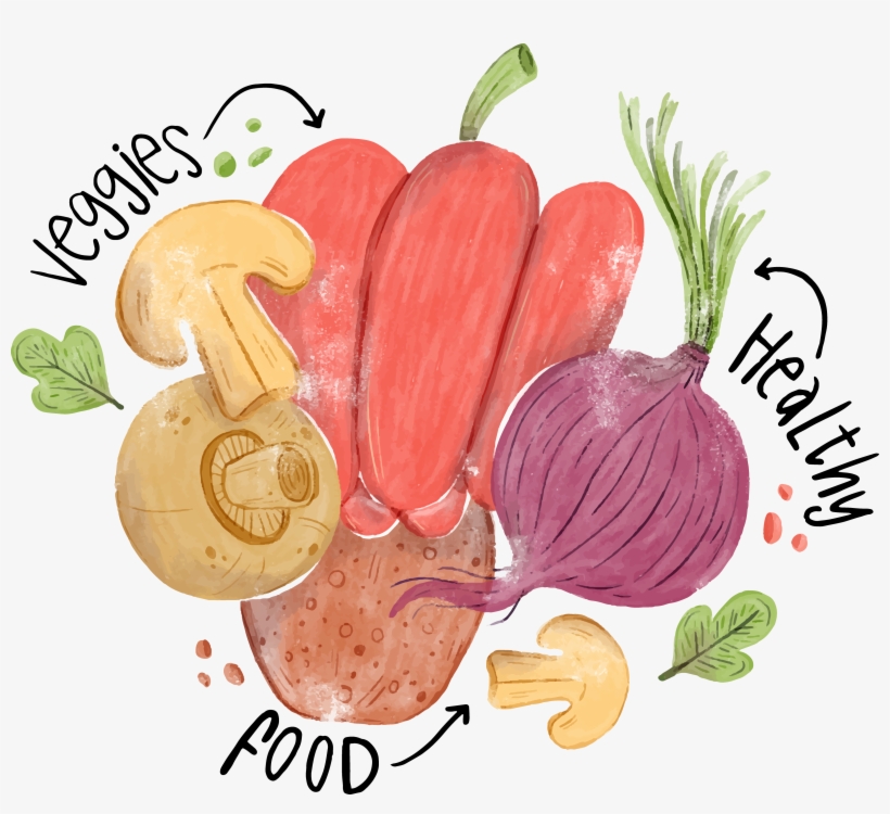 Vector Vegetables Watercolor - Food Transparent PNG - 3967x3436 - Free ...