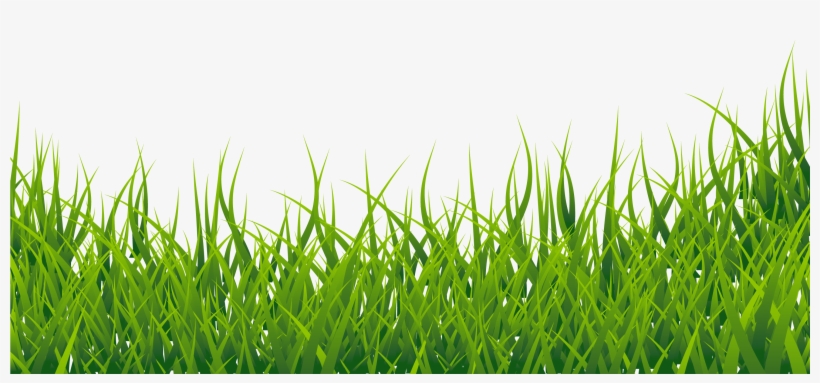 Grass Border Clipart Png - Grass Clipart Transparent PNG - 2962x1274 ...