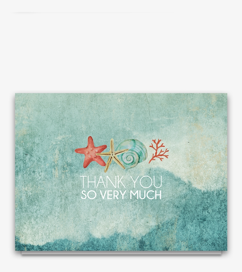 Thank You Cards Sea Shell Transparent PNG - 900x900 - Free Download on ...