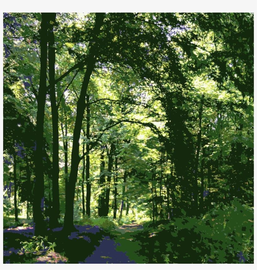 This Free Icons Png Design Of Forest Shortcut Transparent PNG ...