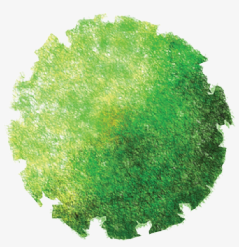 Things I Wish I Knew During Architecture School - Architectural Tree ...