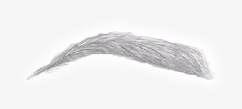 Download Shading Brow - White Eyebrows Transparent Png - HD Transparent ...