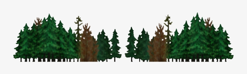 Boreal Forest Background - Taiga Transparent PNG - 732x732 - Free ...