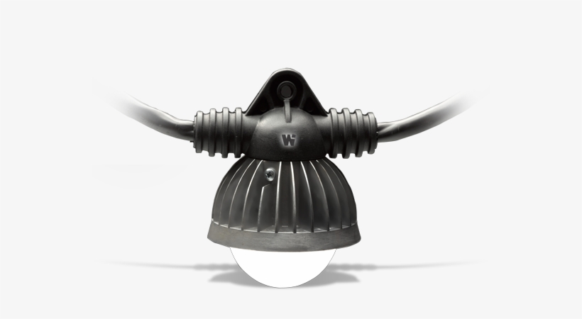 Molex Woodhead Led Stringlights - Molex Transparent PNG - 600x436 ...