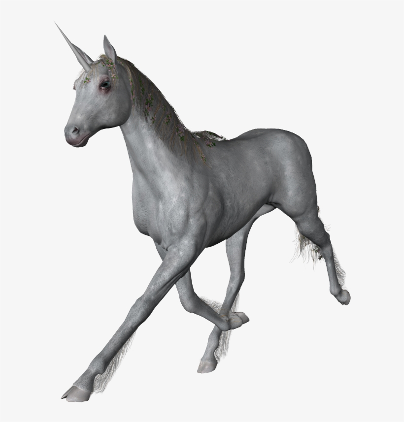 Unicorn Transparent PNG - 605x777 - Free Download on NicePNG