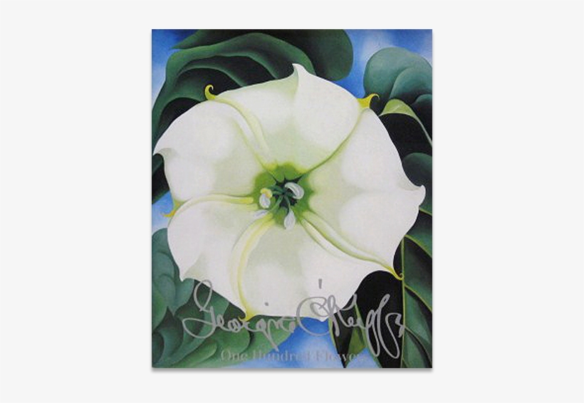 100cover Copy Transparent PNG - 508x500 - Free Download on NicePNG