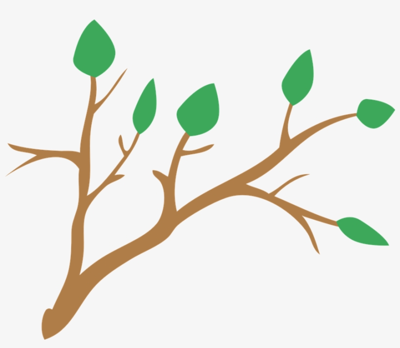 Free Photo Leaf Wood Tree Bud Green Waste Branch - Rama De Arbol Con ...