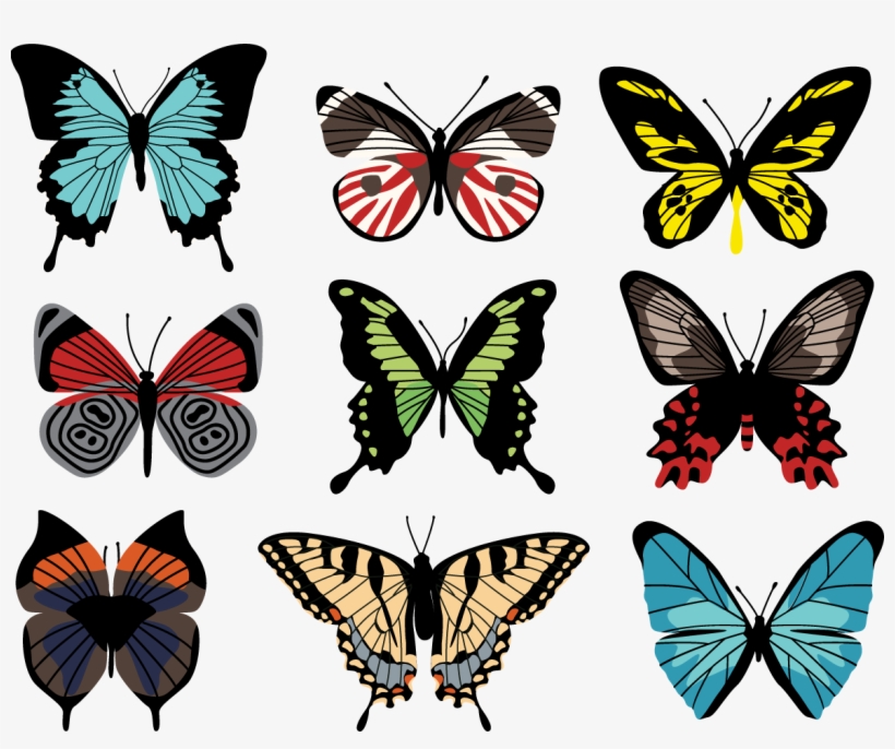 Butterflies - Butterfly Vectors Transparent PNG - 1173x925 - Free ...