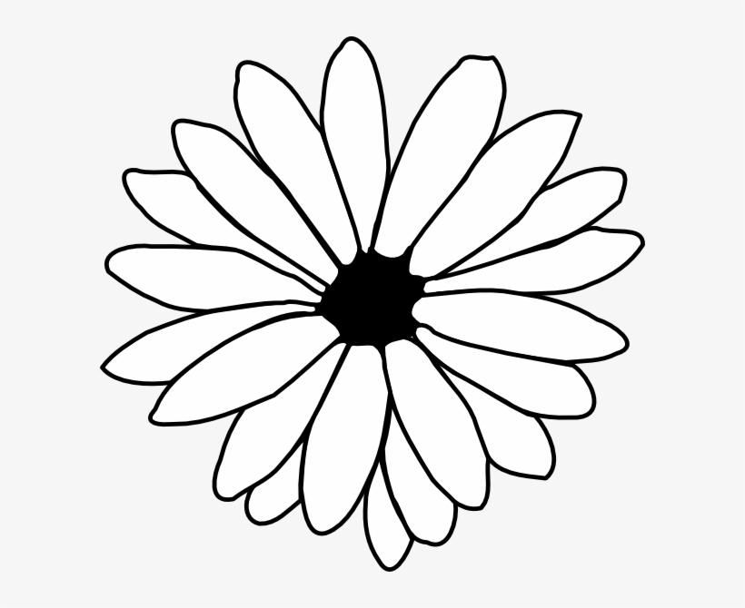 Images Of Flowers Without Colour | Best Flower Site