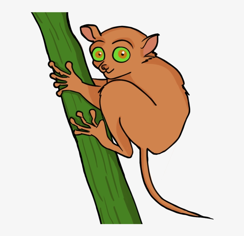 Soccer Player Clipart - Tarsier Clipart Transparent PNG - 671x711 ...