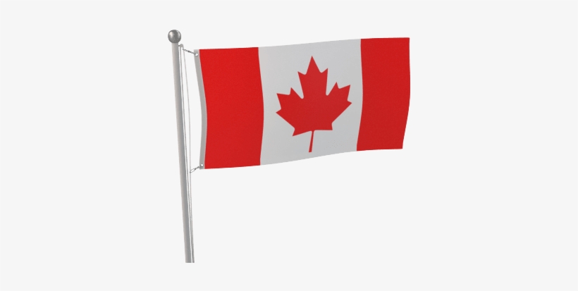 Download Country Flags - Canada Flag Vector - HD Transparent PNG ...