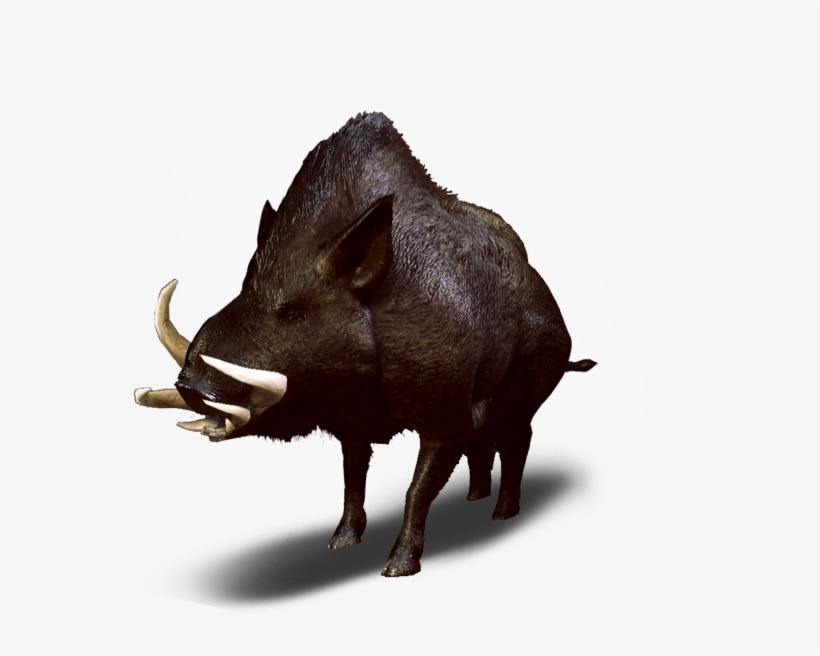 Witcher 3 Wild Boar Transparent PNG - 654x727 - Free Download on NicePNG
