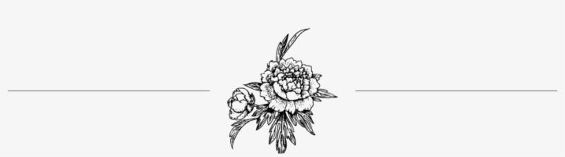 Floral Divider - Portable Network Graphics Transparent PNG - 1000x217 ...