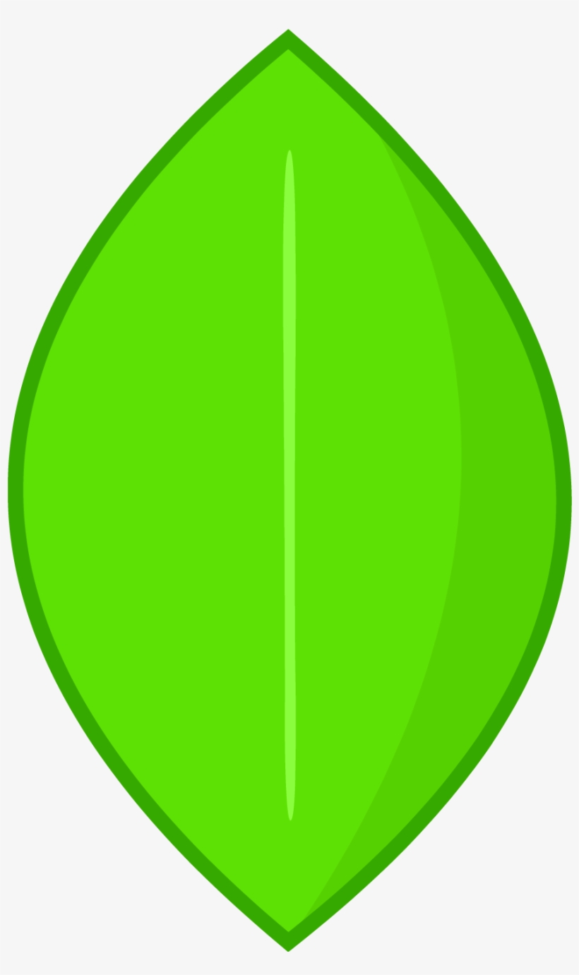 Leafy Icon - Bfdi Old Leafy Transparent PNG - 1064x1437 - Free Download on NicePNG