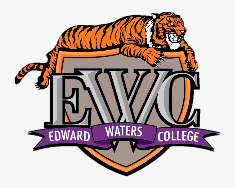 Tiger Nation - Edward Waters College New Logo Transparent PNG - 734x595 ...
