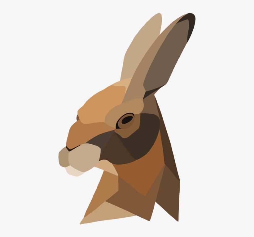 Vector Transparent Library Celtic Drawing Rabbit - Geometric Hare ...
