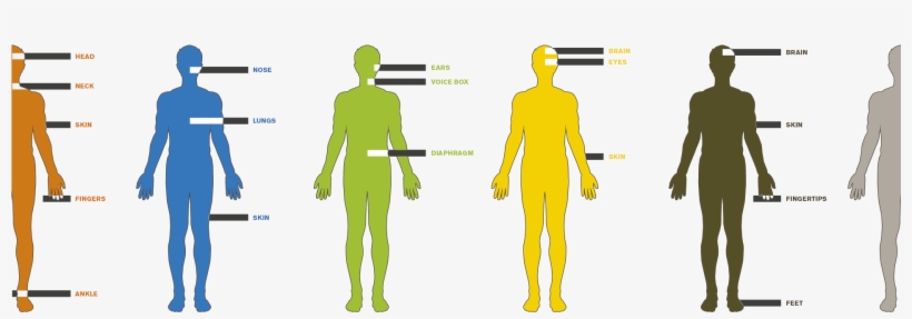 Human Scale - Scale Of Human Desire Transparent PNG - 1920x709 - Free ...