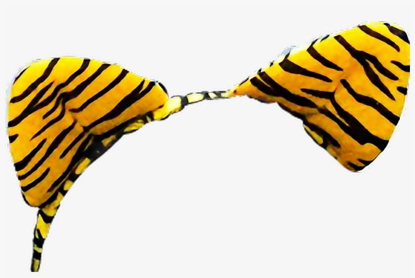 Report Abuse - Transparent Tiger Ears Png Transparent PNG - 1120x696 ...