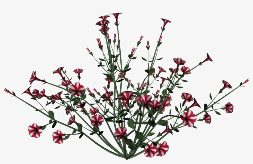 Free High Resolution Graphics And Clip Art - Clip Art Transparent PNG ...