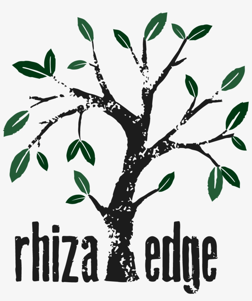 Rhiza Press Transparent PNG - 1052x1204 - Free Download on NicePNG