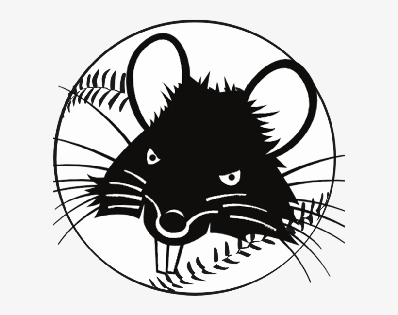 Rats Baseball Clipart - El Amigo Abnegado [book] Transparent PNG ...