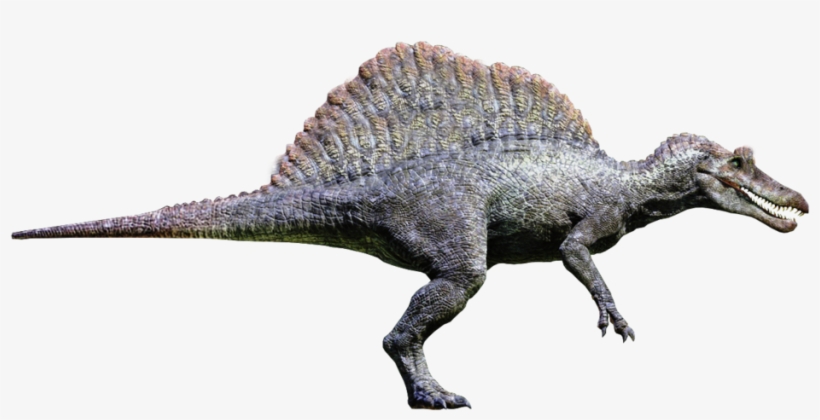 Download Spinosaurus Transparent Png - Spinosaurus Jurassic Park - HD ...