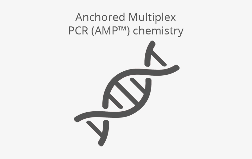 Anchored Multiplex Pcr Target Enrichment Chemistry - Dna Splicing Icon ...