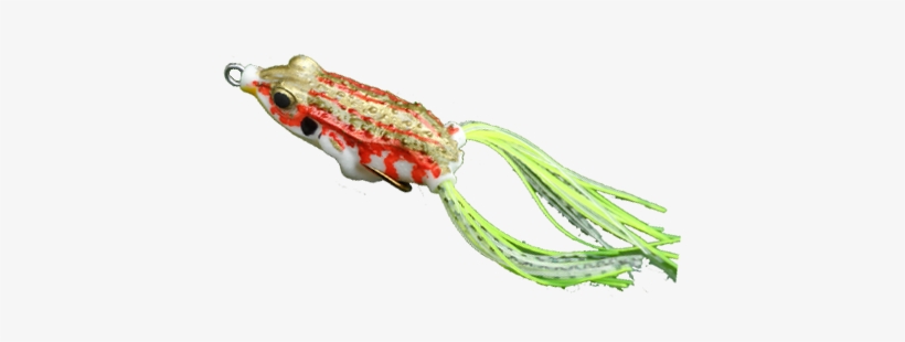 Frog - Top Water Frog Png Transparent PNG - 474x305 - Free Download on ...