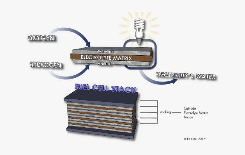 Hydrogen Fuel Cell Stack