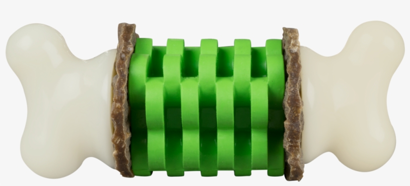 Ring Holding Dog Toy - Dog Toy Transparent PNG - 1080x1080 - Free ...