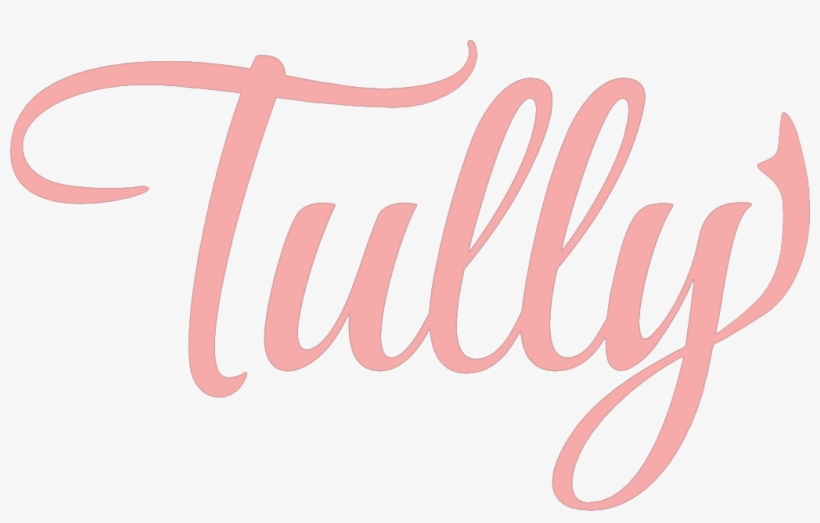 Tully - Tully Movie Banner Transparent PNG - 1022x602 - Free Download ...