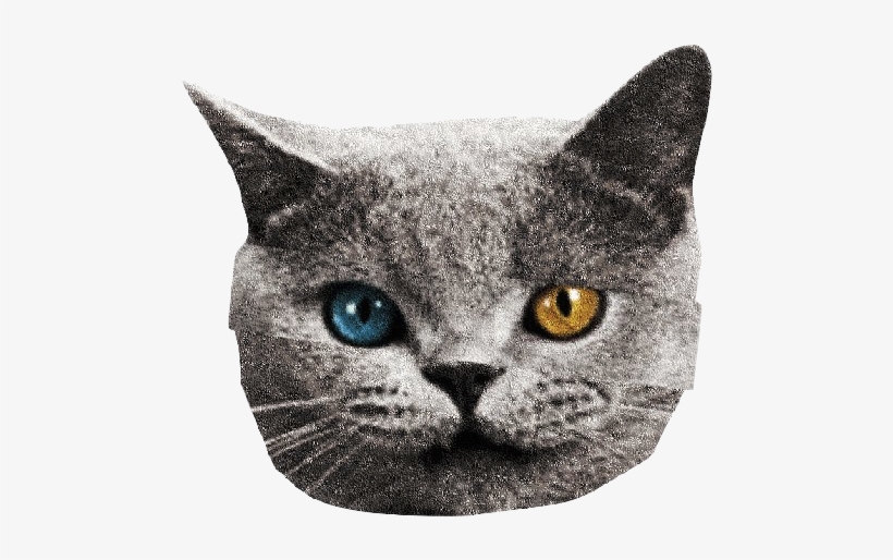 Odd Future Logo Cat