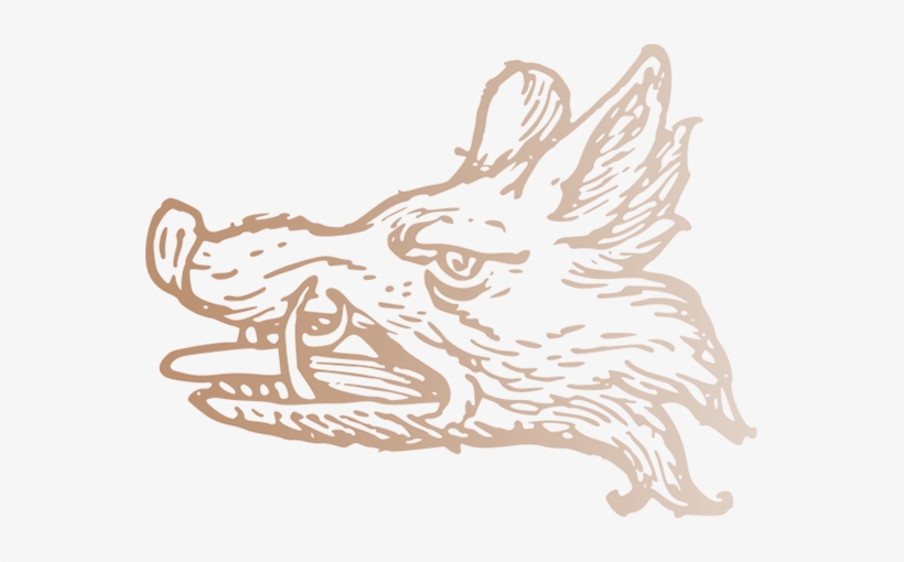 Boar's Head - Wild Boar In Heraldry Transparent PNG - 555x430 - Free ...