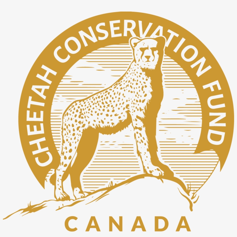 English Ccfc Transparent Logo Rust - Kodaikanal International School ...