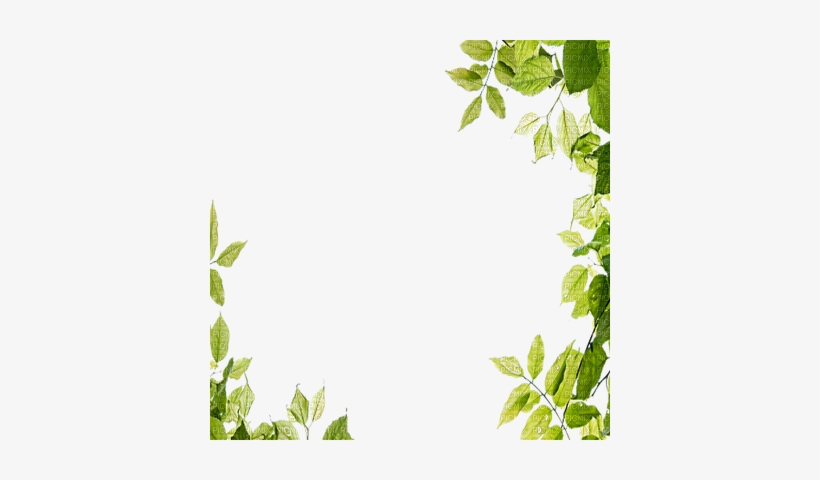 Leaves Green Frame - Leaves Frame Png Transparent PNG - 400x400 - Free ...
