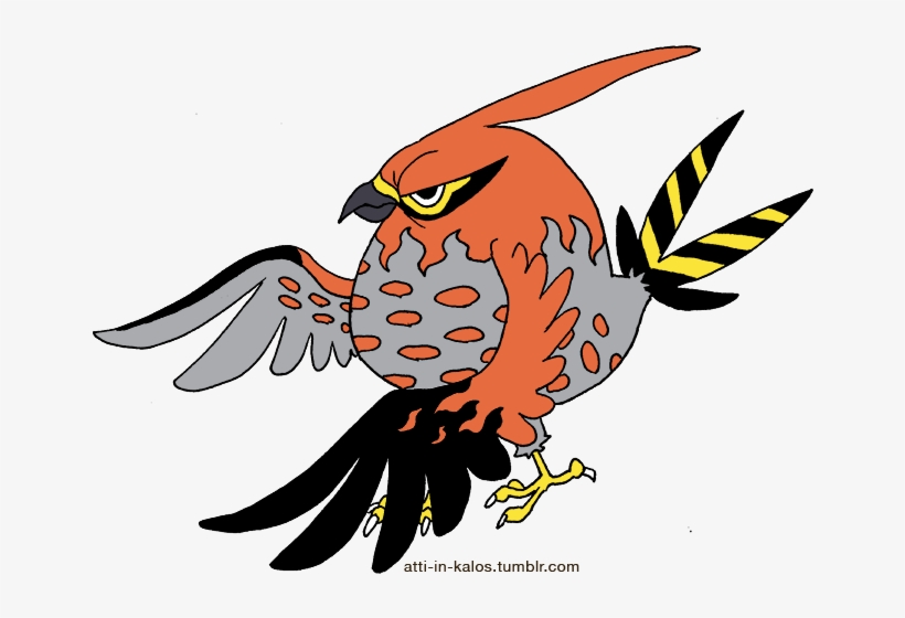 Talonflame - Talonflame Is Angry Transparent PNG - 666x488 - Free ...
