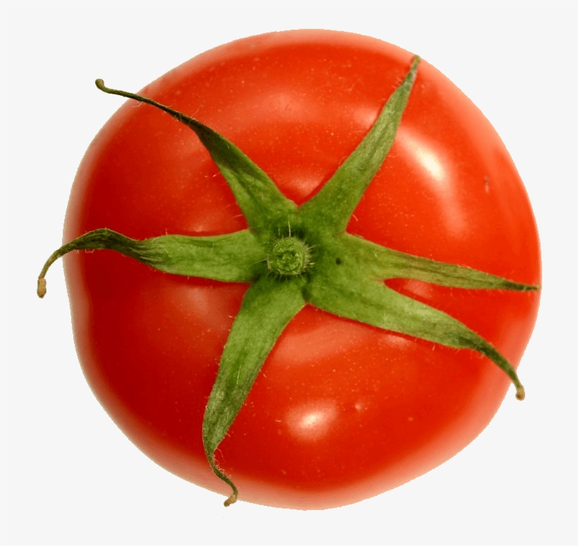 Download Growing Tomatoes - Tomato Top View Png - HD Transparent PNG ...