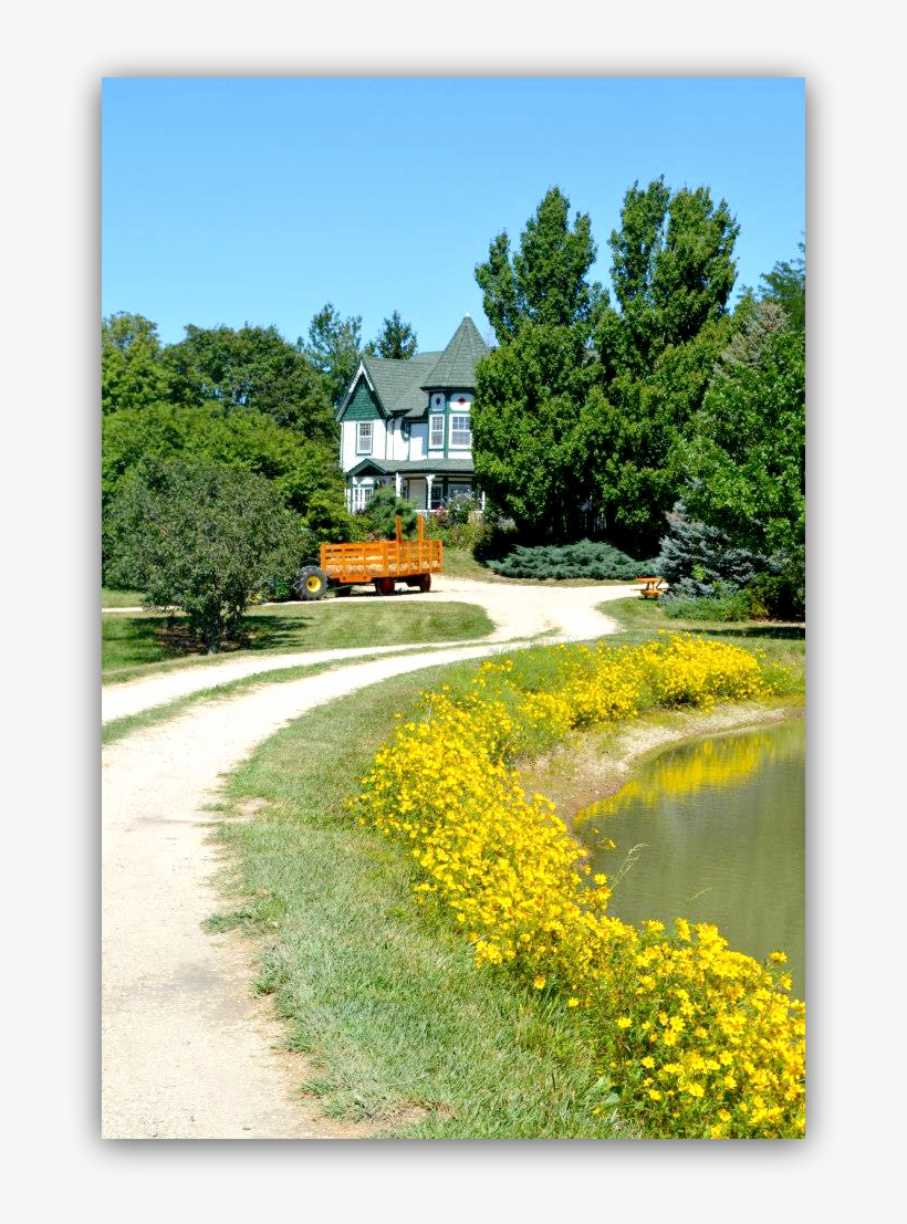 Cider Hill Road Transparent PNG - 712x1036 - Free Download on NicePNG