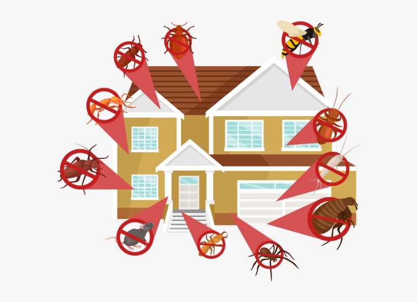 Protect From Pest Home Transparent PNG - 600x513 - Free Download on NicePNG