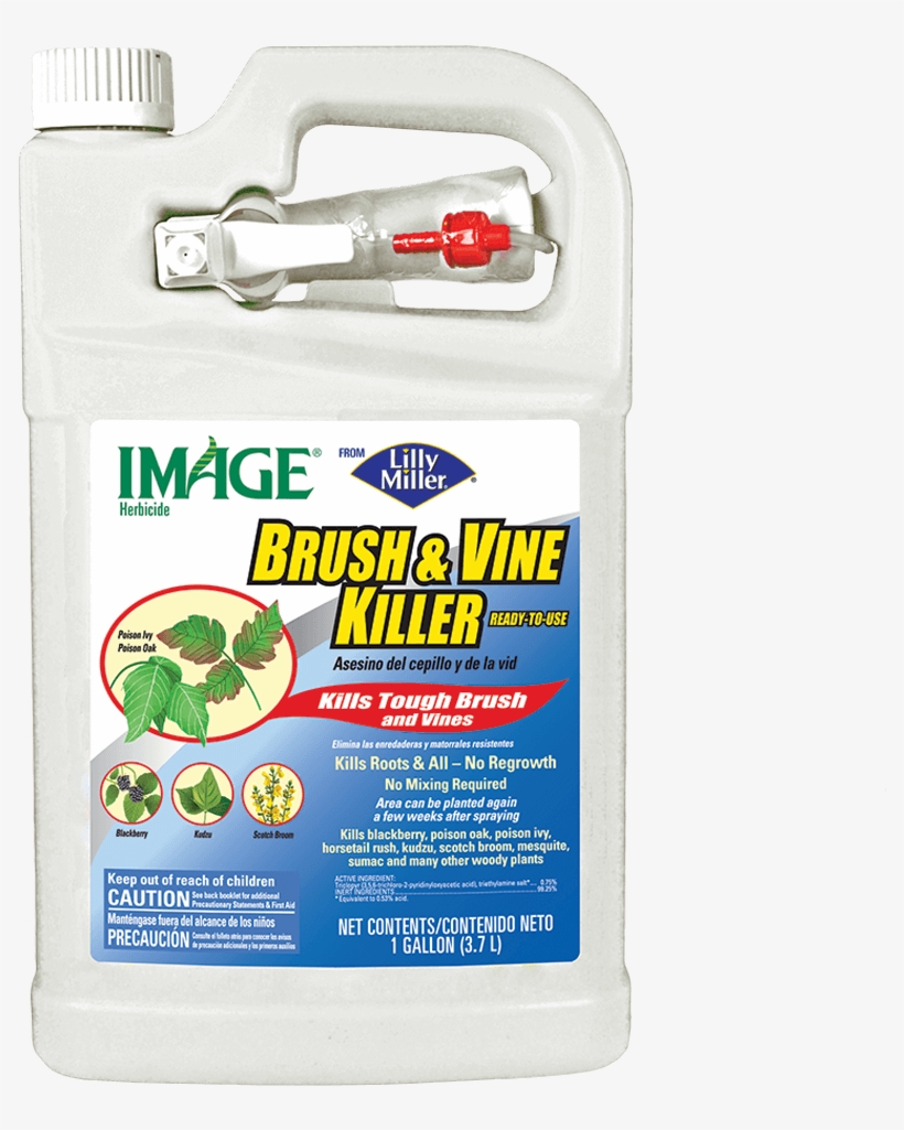 Lilly Miller 1 Gal. Ready-to-use Brush Blackberry And Transparent PNG ...