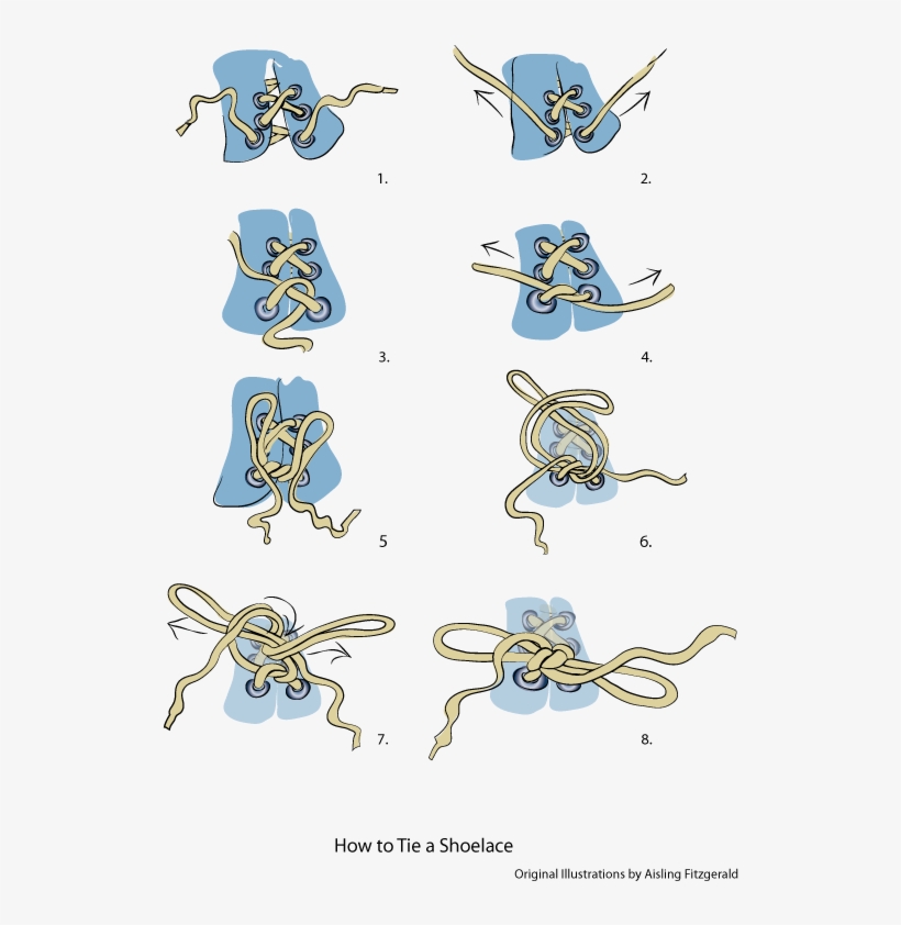 Information Leaflet Illustrating How To Tie A Shoelace - Visual ...