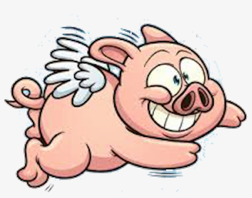 Flappy Pig Adventure - Fly Pig Icon Png Transparent PNG - 1024x1024 ...
