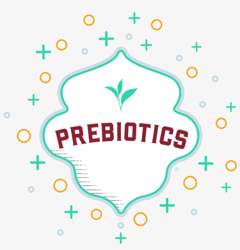 Prebiotics Shield - Prebiotic Transparent PNG - 1000x1001 - Free ...