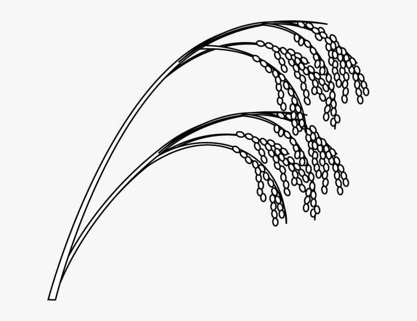 Rice Crop Clipart Png