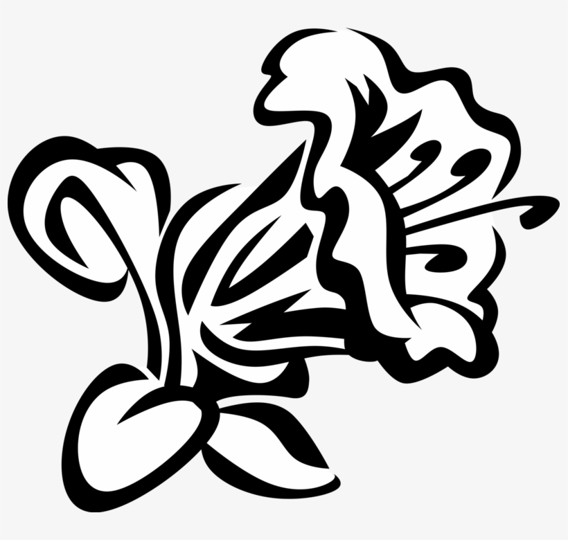 Vector Illustration Of Rhododendron Azaleas Botanical - Rhododendron ...