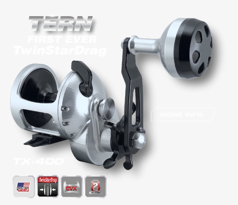 Accurate Tern Transparent PNG - 1206x1063 - Free Download on NicePNG