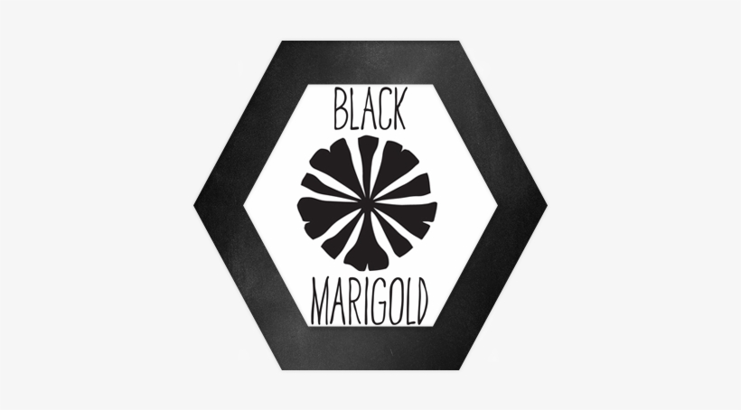 Bassoon Png Transparent PNG - 500x500 - Free Download on NicePNG