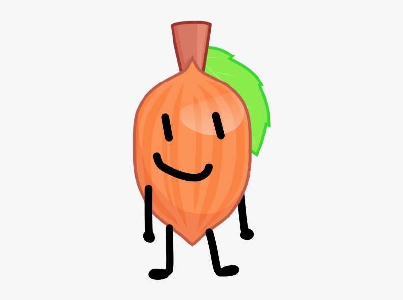 Hazelnut Tg - Wiki Transparent PNG - 488x626 - Free Download on NicePNG